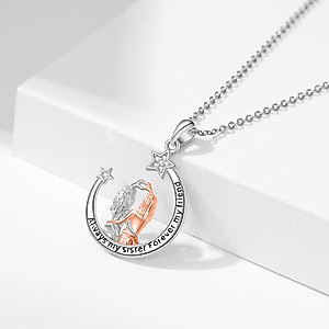 Fryneauy Sister Gifts from Sister Sterling Silver Sister Necklace Sister Pendant Necklace Jewelry Birthday Gifts for Sister Female Women