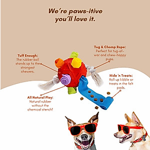 Tuff Snuff Snuffle Ball - Durable Treat Ball for Dogs, Puzzles for Smart Dogs, for Large, Medium, Small Dogs, Enrichment Toys, Interactive Dog Toys to Keep Them Busy