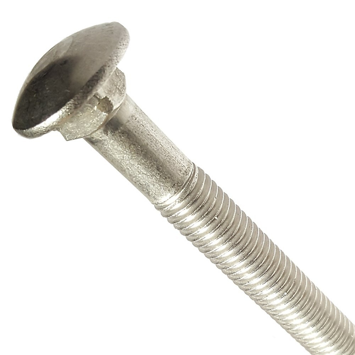 1/4-20 x 6" Carriage Bolts, Round Head, Square Neck, Stainless Steel 18-8, Partial Thread, Plain Finish, Flat Point, Quantity 10 by Fastenere