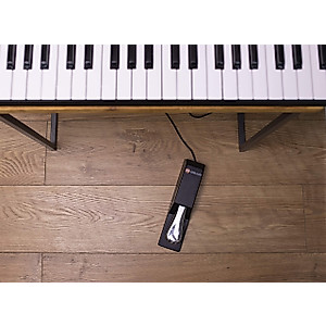 Casio CT-S300 61-Key Premium Keyboard Pack with Stand, Headphones & Power Supply (CAS CTS300 PPK) & M-Audio SP 2 - Universal Sustain Pedal, Digital Pianos & More