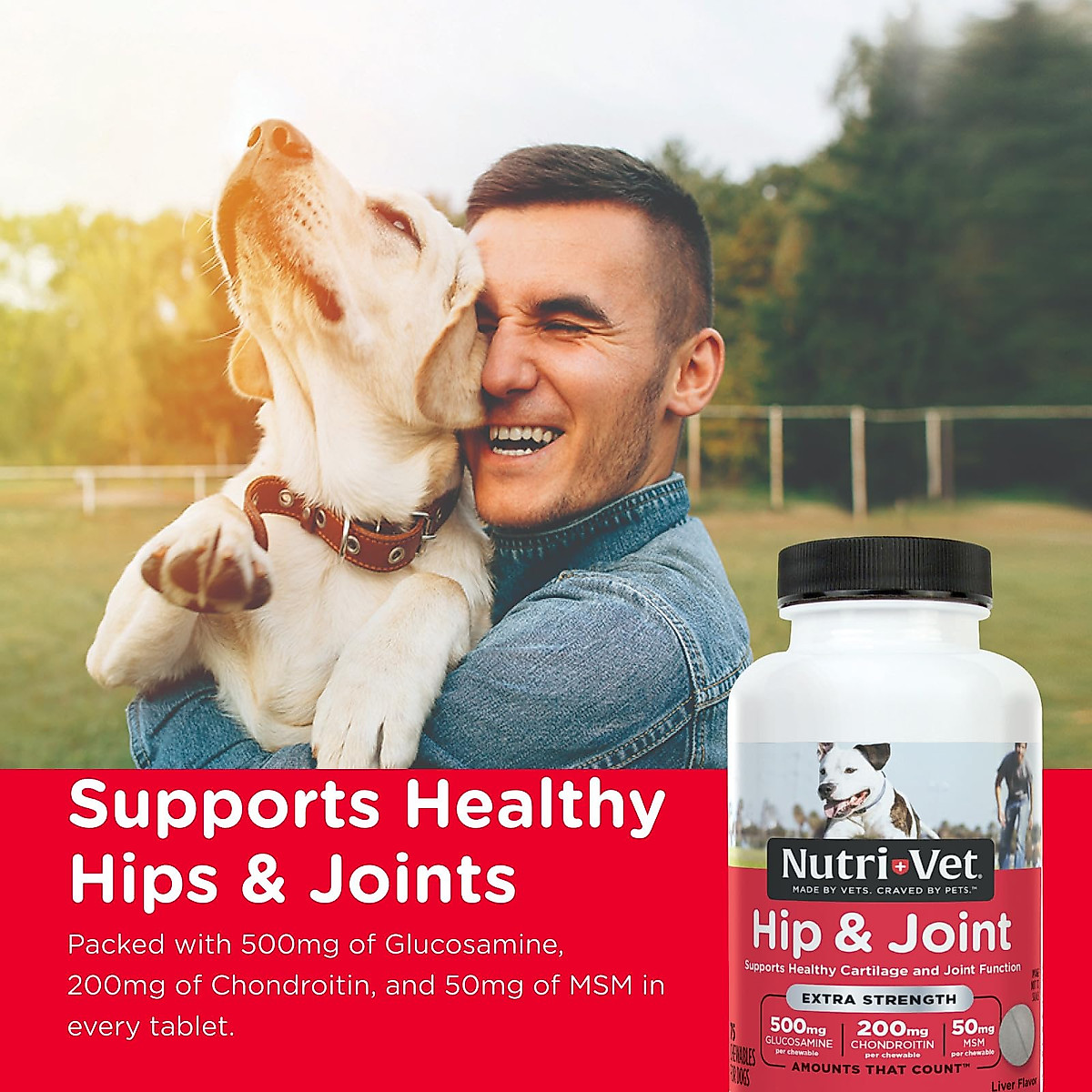 Nutri-Vet Hip & Joint Extra Strenght Chewable Tablets for Dogs, 75 count (24743-3)