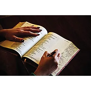 NIV, Artisan Collection Bible, Cloth over Board, Pink Floral, Designed Edges under Gilding, Red Letter, Comfort Print