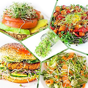 Sprouting Jars, Sprout Growing Kit Including Wide Mouth Mason Jars, Sprout Lids, Blackout Sleeves, Tray and Stander, Sprouts Growing Kit for Microgreens Alfalfa Broccoli