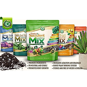 Organic Cactus & Succulent Mix - Made in USA with Premium Grade Ingredients - Coco Peat Humus • Perlite • Sand • Horticultural Charcoal to Filter Toxins and Improve Plant Growth