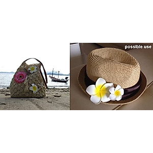 HipGirl 2.5" Hawaiian Hair Flower Clip Hair Barrettes for Women Match Hawaiian Dresses for Women Luau(6pc Cute Hair Clips for Thin Hair,Hair Clips for Girls Plumeria Hawaii Hair Accessories for Women)