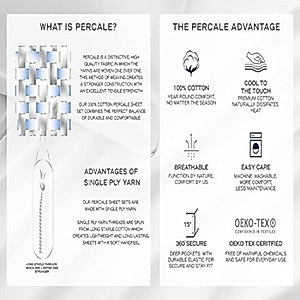 Nautica - Full Sheet Set, Cotton Percale Bedding Set, Crisp & Cool, Stylish Home Decor, Dorm Room Essentials (Plot Blue, Full)