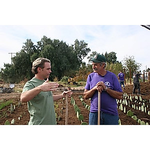 Grow your vegetables with worms (Vermi-Composting) by Curiosity Quest Goes Green