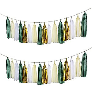 Autupy 20Pcs Sage Green Gold Mylar Tassels Garland Tissue Paper Tassels Banner DIY Kit Teal Tassel Garland Teal Gold Birthday Party Decorations for Women Men Boys Girls, Party Supplies