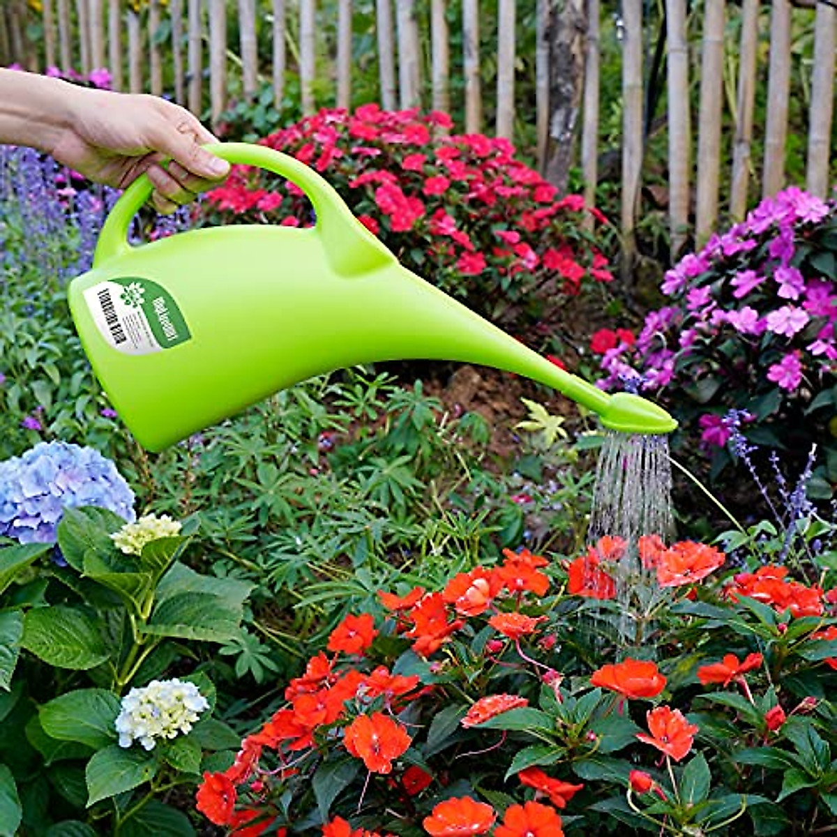 MyLifeUNIT Watering Can for Indoor Plants, Water Can with Shower Head, 1/2 Gallon (Green)