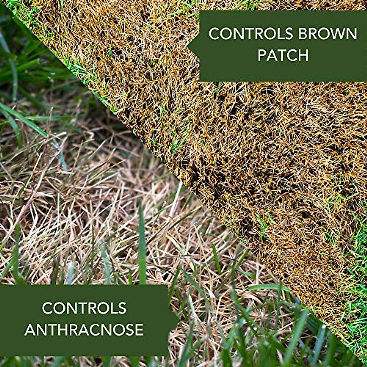BioAdvanced Fungus Control for Lawns, Ready-to-Spray, 32 oz