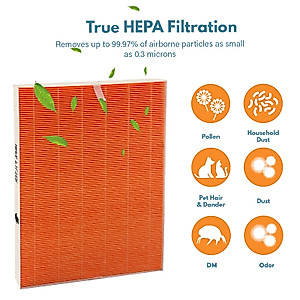 116131 True HEPA Replacement Filter I Compatible with Winix C555 Air Cleaner Purifier, H13 Grade True HEPA Filter, Compares to Winix 116131 Filter I (2 Set)