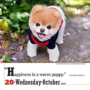 365 Dogs Page-A-Day Calendar 2021