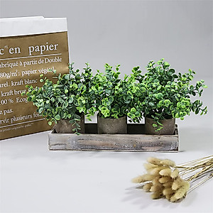WOS Small Potted Artificial Plants, Artificial Plants, Plastic Green Plants, Suitable for Home Office Garden Decoration, Indoor and Outdoor, 3Piece Set