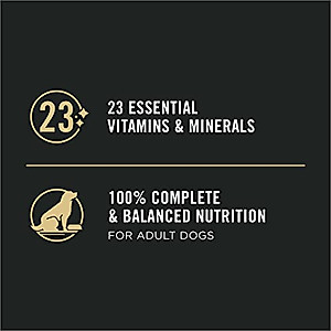 Purina Pro Plan Sensitive Skin and Stomach Dog Food Pate, Sensitive Skin and Stomach Salmon and Rice Entree - (12) 13 oz. Cans