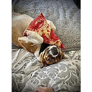 Doggijuana | Juananip™ Refill | Premium Organic Ground Catnip for Dogs | All Natural | Grown in The USA (Juananip Pack of 1)