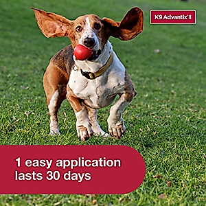K9 Advantix II Small Dog Vet-Recommended Flea, Tick & Mosquito Treatment & Prevention | Dogs 4-10 lbs. | 6-Mo Supply
