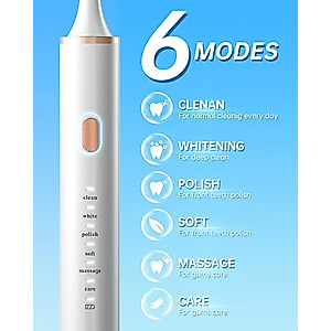 Aneebart Sonic Electric Toothbrush 2 Pack，Electric Toothbrush for Adults，Travel Electric Toothbrush Includes 12 Brush Heads，IPx8 Waterproof （Black & White ）