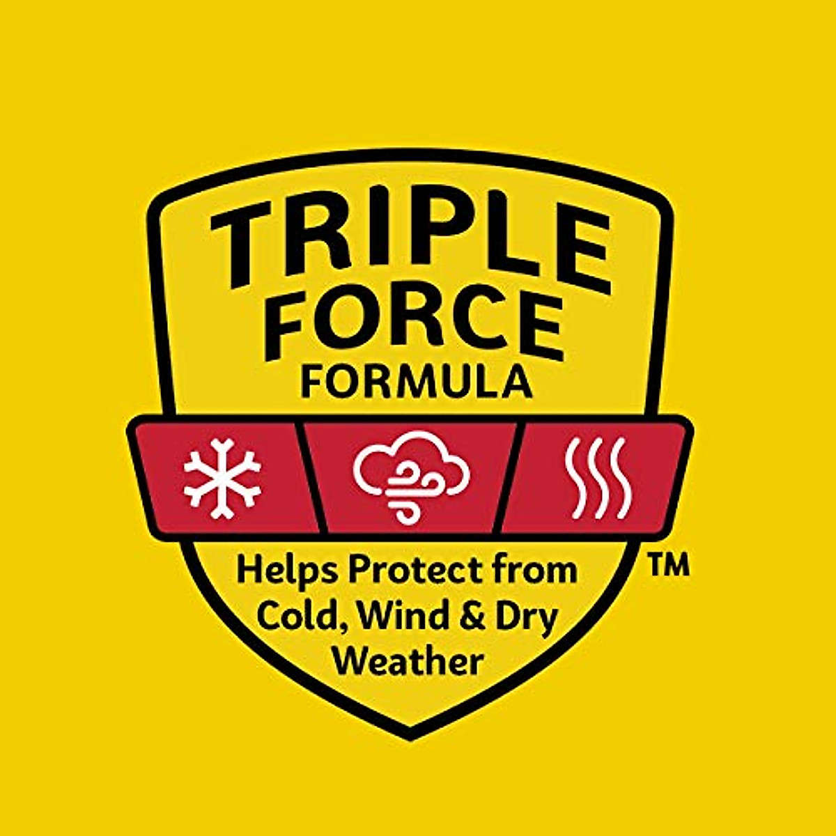 Carmex Medicated Lip Balm Jar, Lip Moisturizer for Dry, Chapped Lips, 0.25 OZ - (2 Packs of 3)