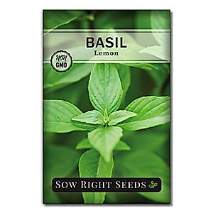 Sow Right Seeds - Basil Seed Collection for Planting - Genovese Sweet, Greek, Opal, Thai, Holy and Lemon Basil - Non-GMO Heirloom Seeds - Instructions to Plant an Herb Garden Indoors or Outdoors