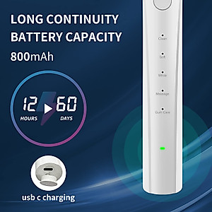 LANDWIND Sonic Electric Toothbrush, Rechargeable Travel Electric Toothbrush Lasts 2 Months, 2 Brush Heads and 5 Cleaning Modes, 2-Min Timer and IPX7 Waterproof Electric Toothbrush for Adults