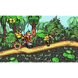 Donkey Kong Country (Renewed)