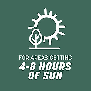 Pennington Kentucky 31 Tall Fescue Grass Seed 20 lb