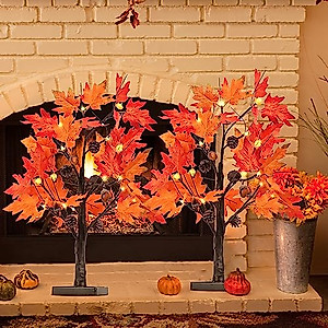 YEAHOME Fall Decorations for Home, 2 Pack 24”/2FT Lighted Fall Maple Leaves Tree with Warm White LEDs Autumn Decor, Pumpkin Lampshade, Pine Cone, Acorn Ornaments Battery Powered Timer for Thanksgiving