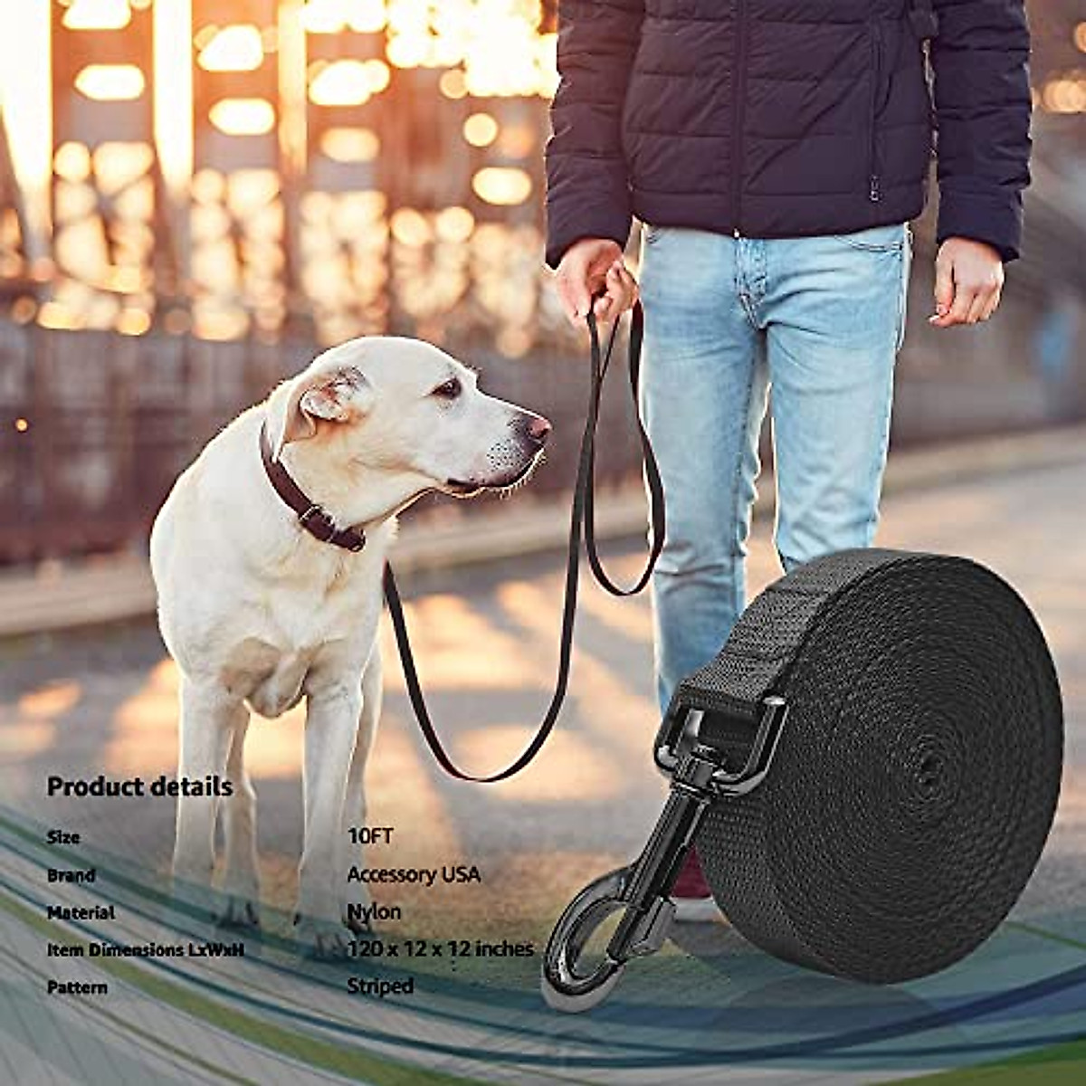 Accessory USA 10ft Black Long Line Training Dog Leash,for Large,Medium and Small Dogs,Long Dog Lead,for Training,Backyard,Camping,or Play,Great for Parks and Fetch (10FT, Black)