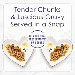 Purina Fancy Feast Gourmet Gravy Wet Cat Food, Petites Turkey & Sweet Potato Entree - (Pack of 12) 2.8 oz. Tubs