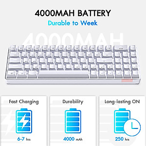 LexonElec 60% Wireless Mechanical Gaming Keyboard,2.4G/Bluetooth/Wired 69 Keys Compact Keyboard with Numpad,Hot Swappable Red Switch White Backlit Keyboard Programmable for Win/Mac (White)