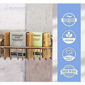 Plantlife Frankincense Myrrh Bar Soap - Moisturizing and Soothing Soap for Your Skin - Hand Crafted Using Plant-Based Ingredients - Made in California 4oz Bar