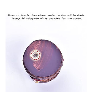 Desktop cute cartoon 3 little black bear resin fleshy flower pot with tray bonsai cactus flower pot vase holder decoration with drain holeWhite Rabbit