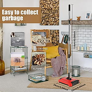 Carpet Floor Sweeper with Horsehair, Manual Carpet Sweeper Cleaner, Non-Electric Carpet Broom Sweeper Efficient Hand Push Carpet Sweeper Rug Roller Brush Push for Cleaning Pet Hair Loose Debris Lint