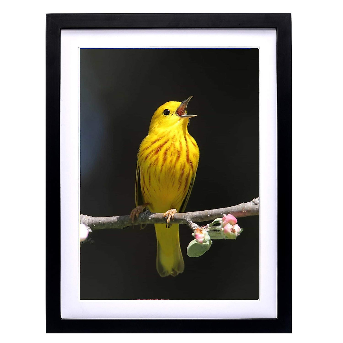 WKDP 12x16inch Frames for Diamond Painting Picture 30x40cm Diamond Art Frame 10x14inch/25x35cm with Mat or 12x16inch/30x40cm Canvas Size without Mat, Poster Frame Photo Frame Wood Frame Black (FK002)