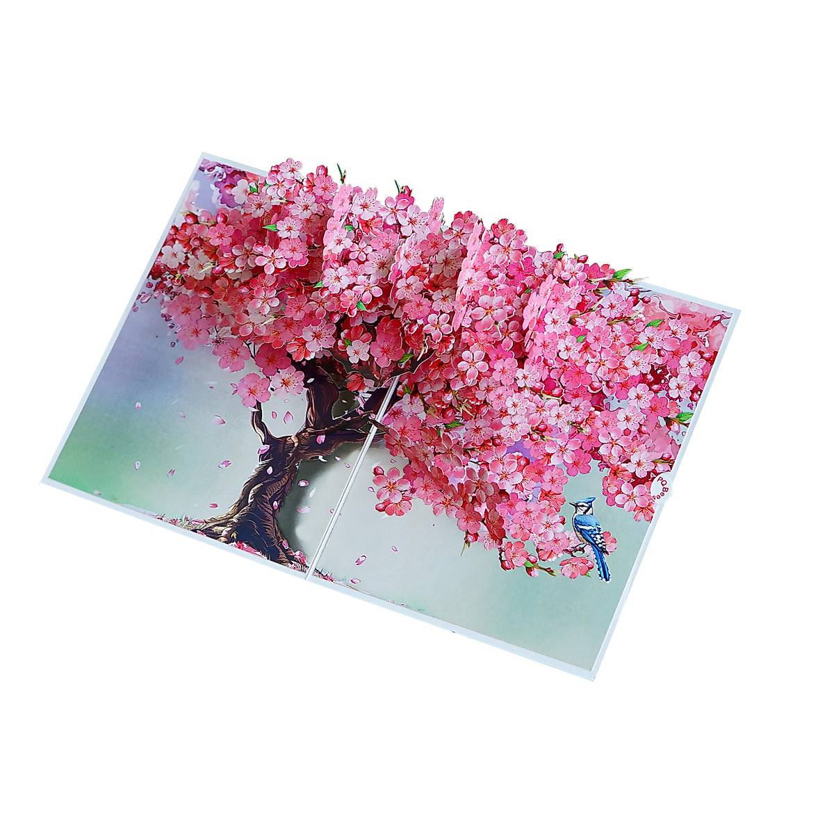PQ Bees Pop Up Birthdays Card for Women Mom Grandma Wife | 3D Mother’s Day Anniversary Get Well Soon Thank You Valentines Day Card (Size 6x8 In – Cherry Blossom BlueJay Bird).