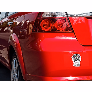 Nurse Life Sticker Nurselife Stickers #Nurselife Vinyl Decal Bumper Sticker Stethoscope Accessories Medical Decals Doctor Scrub Phlebotomist EMS Healthcare Sticker Inspirational Dispatcher CS369-2PK