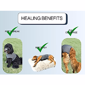 Dog Recovery Suit After Surgery - for Spay Neuter - with Washable Pads - Dog Onesie (Grey Large)