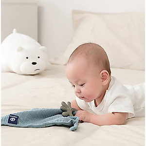 Baby Muslin Security Blanket with Food Grade Silionce Teether,Soothe Teething Toy for Boys and Girls,100% Polyester (Pink)