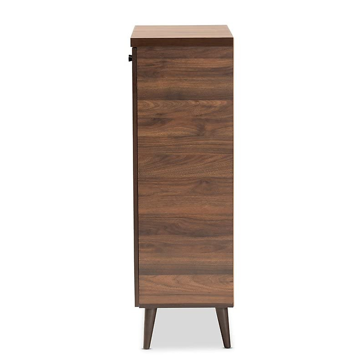Baxton Studio Salma Modern and Contemporary Walnut Brown Finished Wood 2-Door Shoe Storage Cabinet