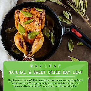QUINTAL MX Natural Bay Leaves Whole, Hojas de Laurel, Dried Bay Leaf for Cooking, Whole Bay Leaves Dried for a Variety of Recipes, RESEALABLE BAG (16OZ)