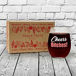 Cheers Funny Cute Wine Glass,Stemless 15oz, Box, Happy Birthday for Women or men, Unique Idea for Her, Mom, Wife, Girlfriend, Sister, Grandmother, Aunt, Friend, BFF, Coworker