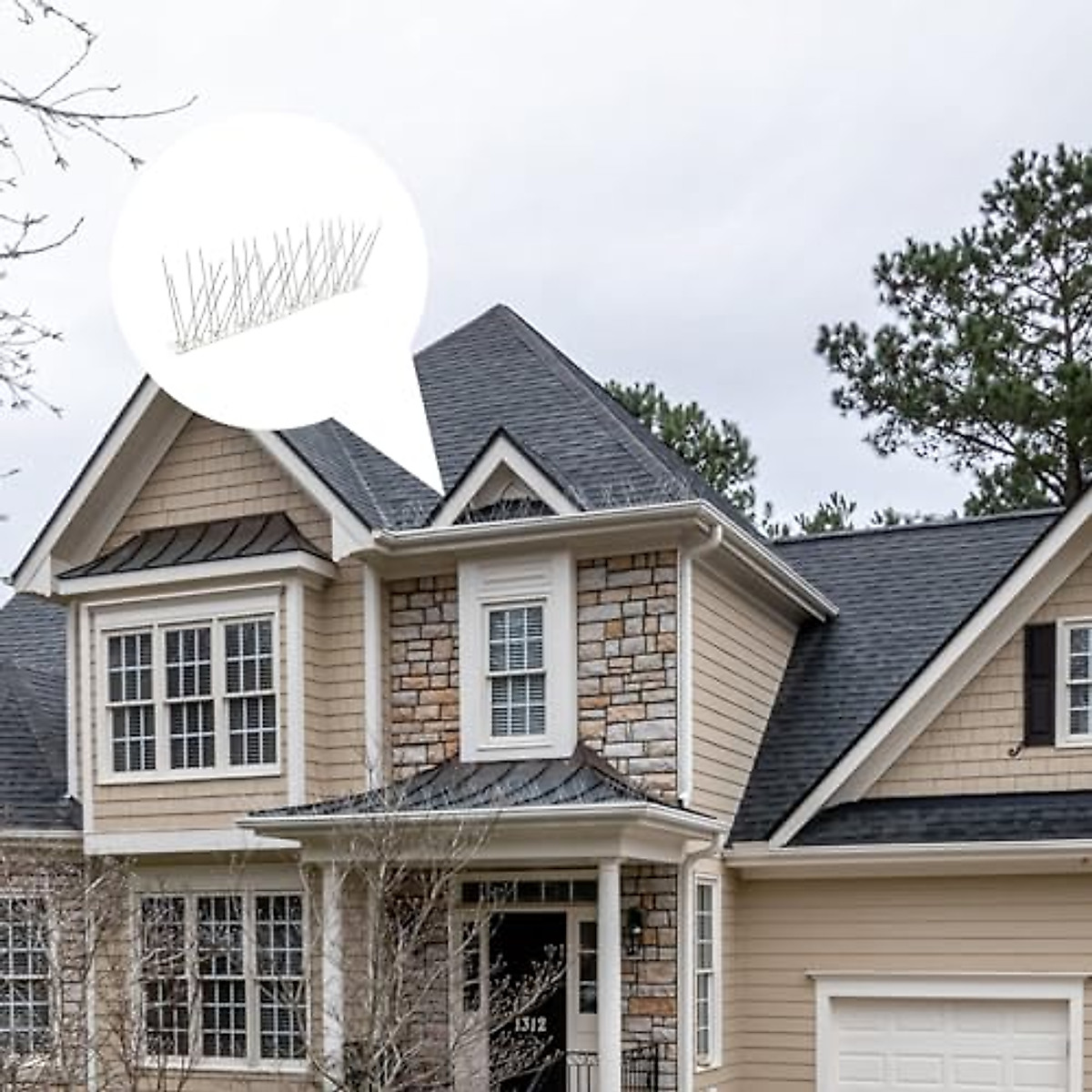 Cabilock Bird Spikes Stainless Steel Bird Blinder Bird Repellent Deterrent Spikes for Pigeons Birds