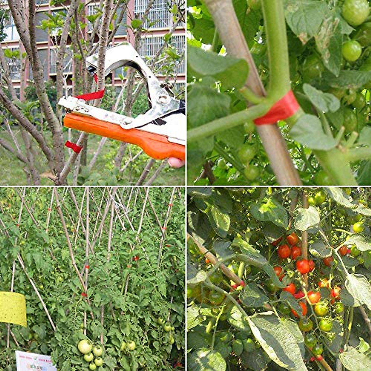 DrRobor Plant Tying Machine Tomato Tape Tool Fruit Twine Tool with 21 Rolls of Tape and 1 Box of Staple for Garden Vegetable Grape Cucumber Pepper