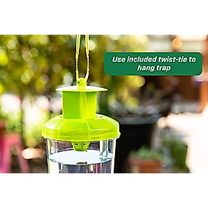 RESCUE! WHY Trap for Wasps, Hornets, & Yellowjackets – Hanging Outdoor Trap