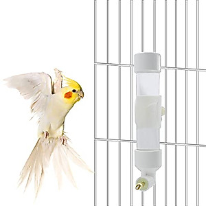 Bird Water Dispenser Parrot Waterer Automatic Bird Water Feeder for Medium Birds Parakeet Cockatiel Conure Caique (Small)