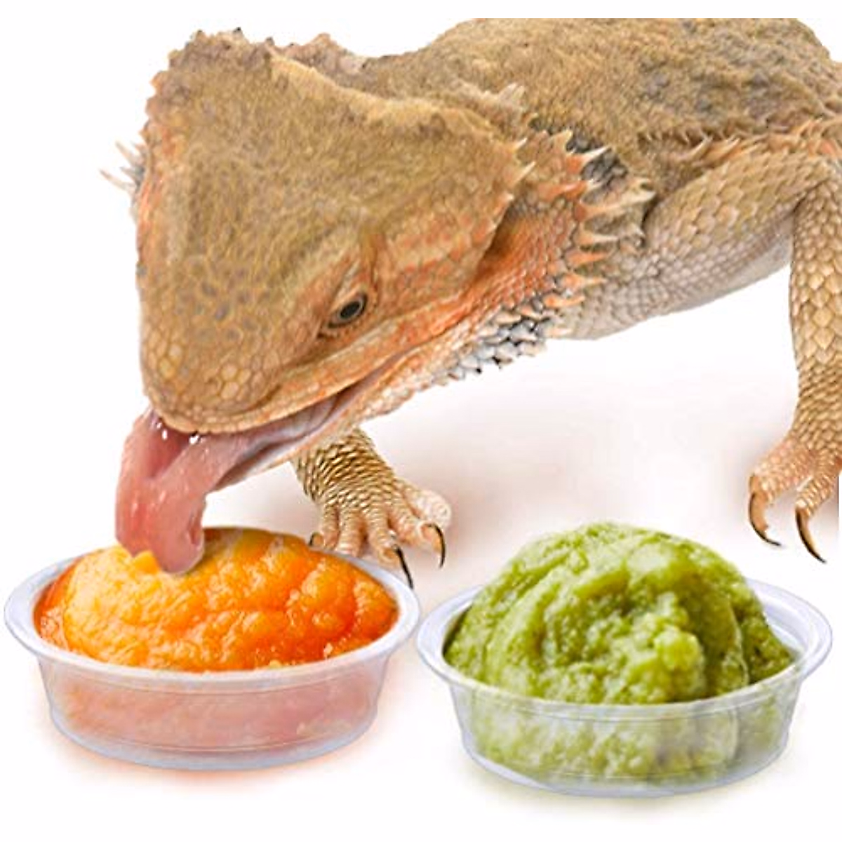 Meric Gecko Food Container, Transparent PVC Plastic Cups for Feeding & Drinking, No-Leak and Escape Design to Keep Mealworms Inside, 100 Pieces per Pack