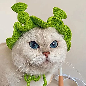Pet Hat Funny Shrek Cat Hat Handmade Knitted Woolen Yarn Hat Classic Retro Pet Sunglasses，Apply to Pet Photo Suit, Pet Supplies for Small Dog and Cat(Shrek)