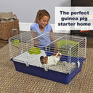 MidWest Homes for Pets Critterville Cleo Guinea Pig Cage | Includes All Accessories, Blue, Large (171CL)