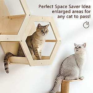 Cat Shelves Cat Wall Shelf and Cat Ladder of 4 Level, Cat Houses Condos for Activity Indoor Cats Furniture Wall Mounted Cat Wall Steps Set with Hexagon Nest Perches 2 PCS Set