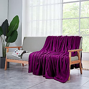 VANSILK Super Soft Flannel Fleece Throw Blanket Warm Fluffy Solid Throw for Bed and Couch (Purple 60''x80'')